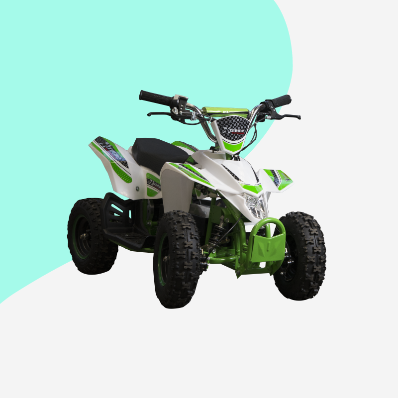 RideGreen » Mini ATV
